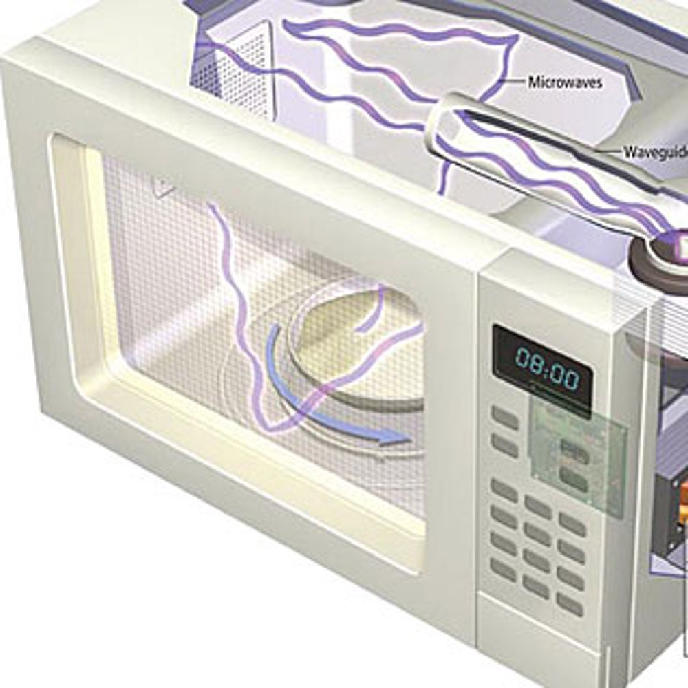 How the Microwave Works | Scientific American