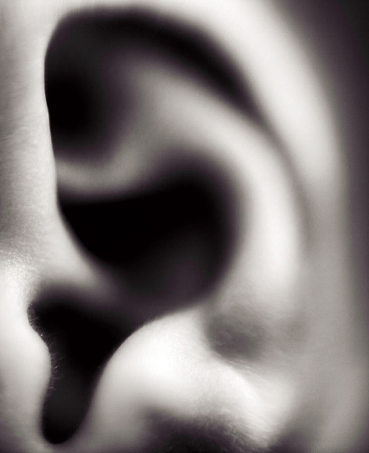 A 100-Year Debate about the Eardrum Comes to an End | Scientific American
