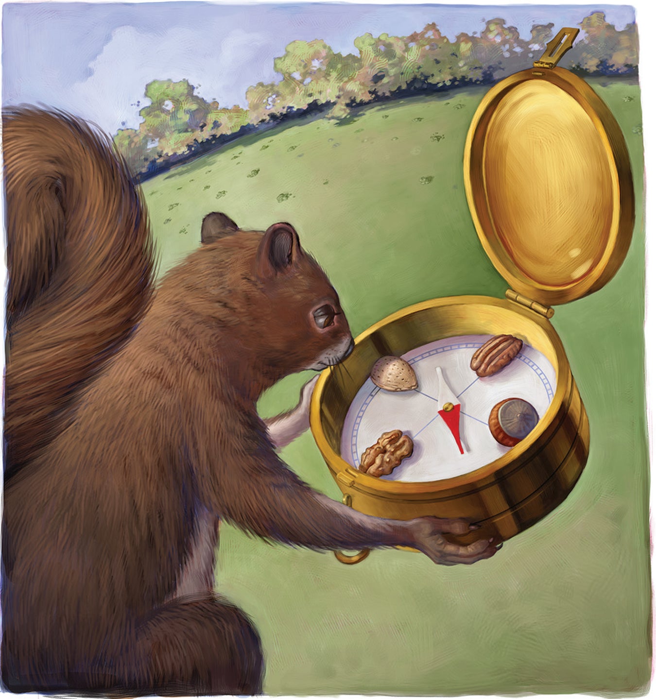 Squirrels Can Store the Same Kinds of Nuts in Specific Groupings ...