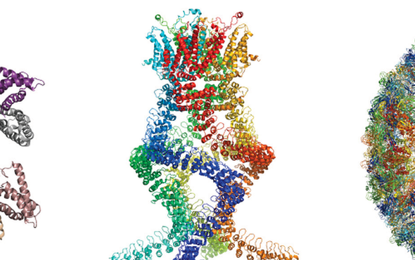 Nobel Chemistry Prize Won for Capturing Proteins in Action - Scientific ...
