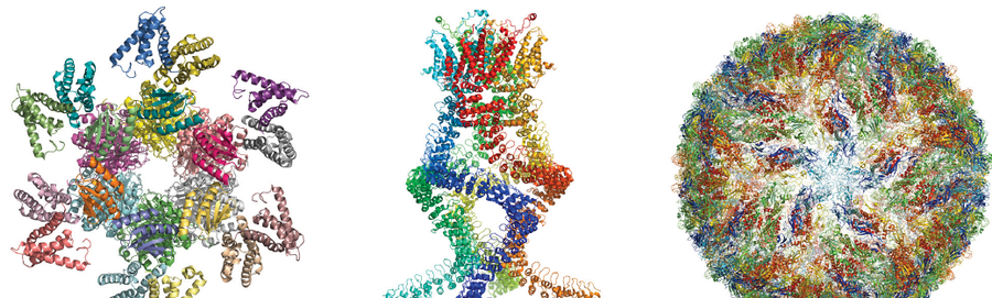 Nobel Chemistry Prize Won for Capturing Proteins in Action | Scientific ...