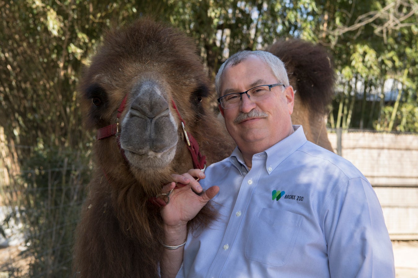 Bring Bronx Zoo to Your Living Room | Scientific American