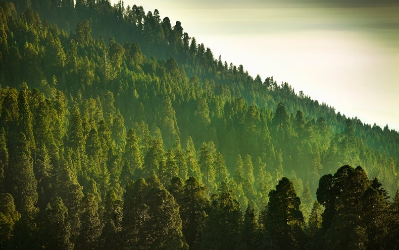Here's Why Expanding Protected Areas Isn't Saving Nature - Scientific ... Here's Why Expanding Protected Areas Isn't Saving Nature - Scientific ...