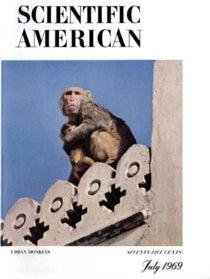 Neutrinos from the Sun - Scientific American