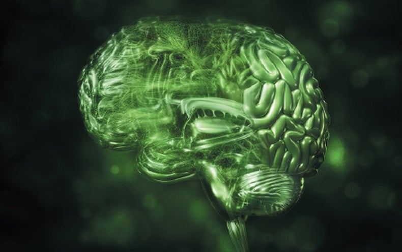 New Views: See-Through Brains, the World's Science, Enceladus's Oceans ...