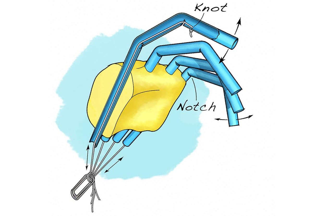 Build an Artificial Hand | Scientific American
