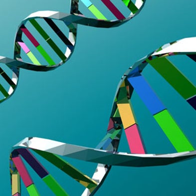 1,000 Genomes Project: Expanding the Map of Human Genetics - Scientific ...
