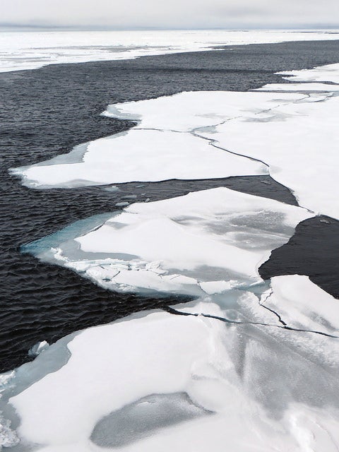 How the Planet Will Change without Arctic Sea Ice - Scientific American