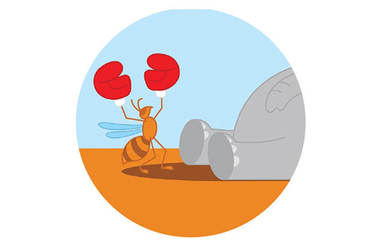 How to Get Elephants to Buzz Off | Scientific American