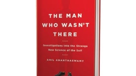 Stories by Maria Temming - Scientific American