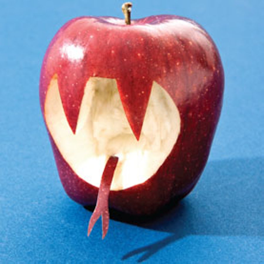 The Truth about Genetically Modified Food | Scientific American