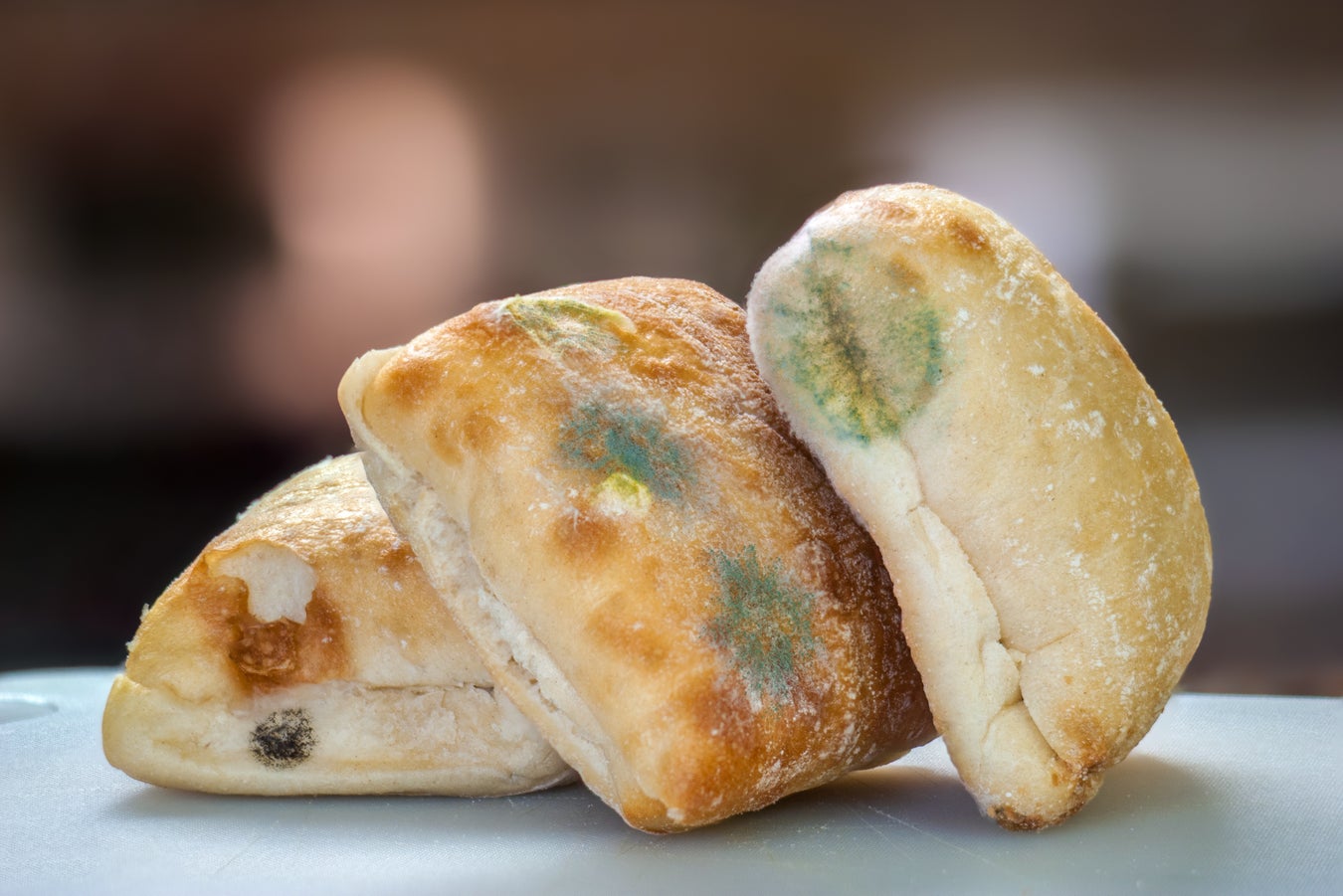 When Is It Safe to Eat Moldy Food? | Scientific American