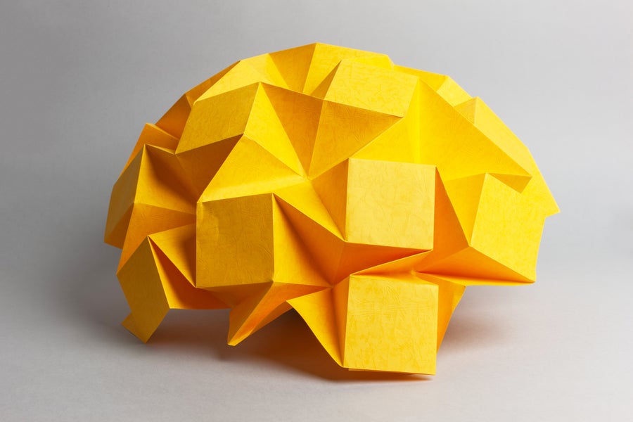 What Causes the Brain to Have Slow Processing Speed, and How Can the ...