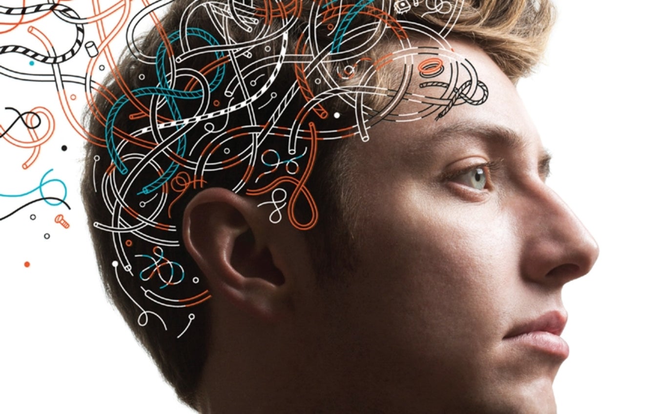 The Amazing Teen Brain | Scientific American