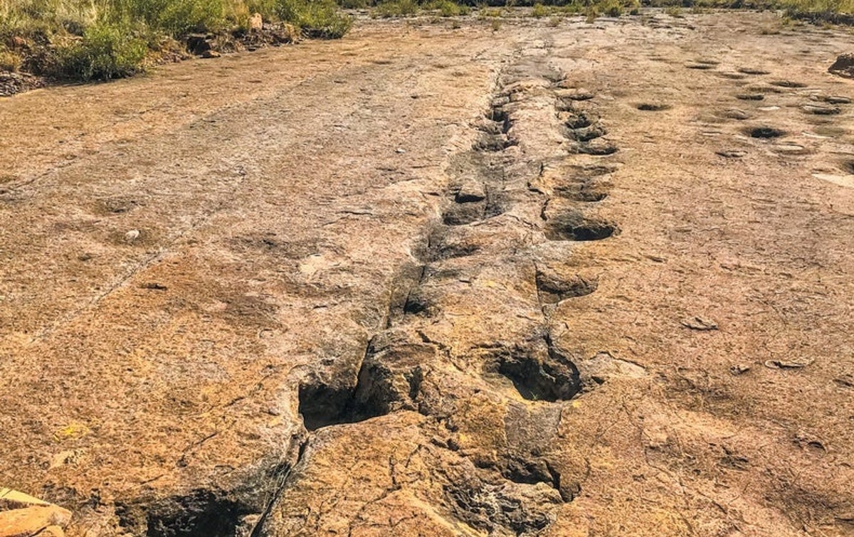 Skulls of Oldest Homo sapiens Recovered | Scientific American