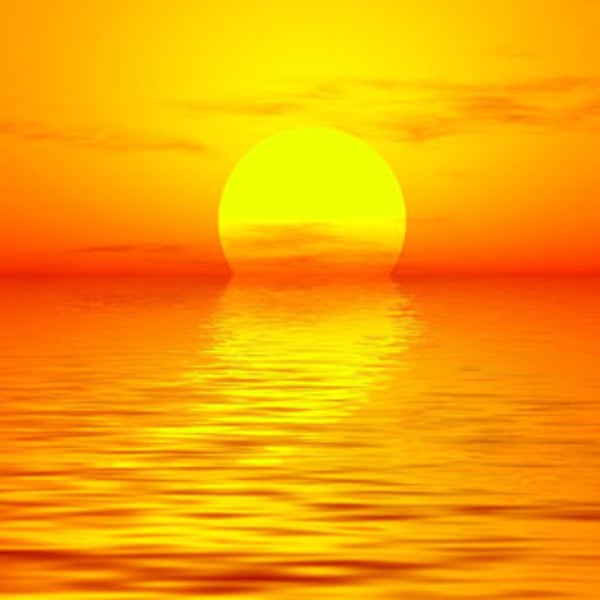 Cell Defenses and the Sunshine Vitamin | Scientific American