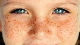 Stories by Sandra Upson - Scientific American