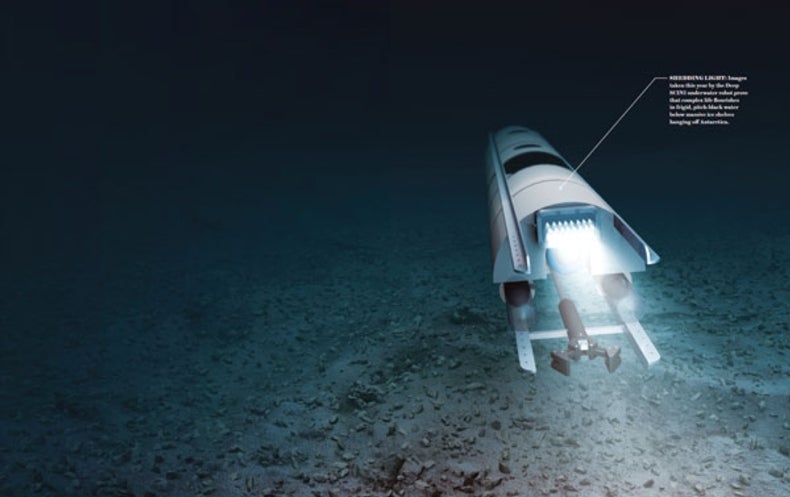 Found: Life under Antarctica's Ice - Scientific American