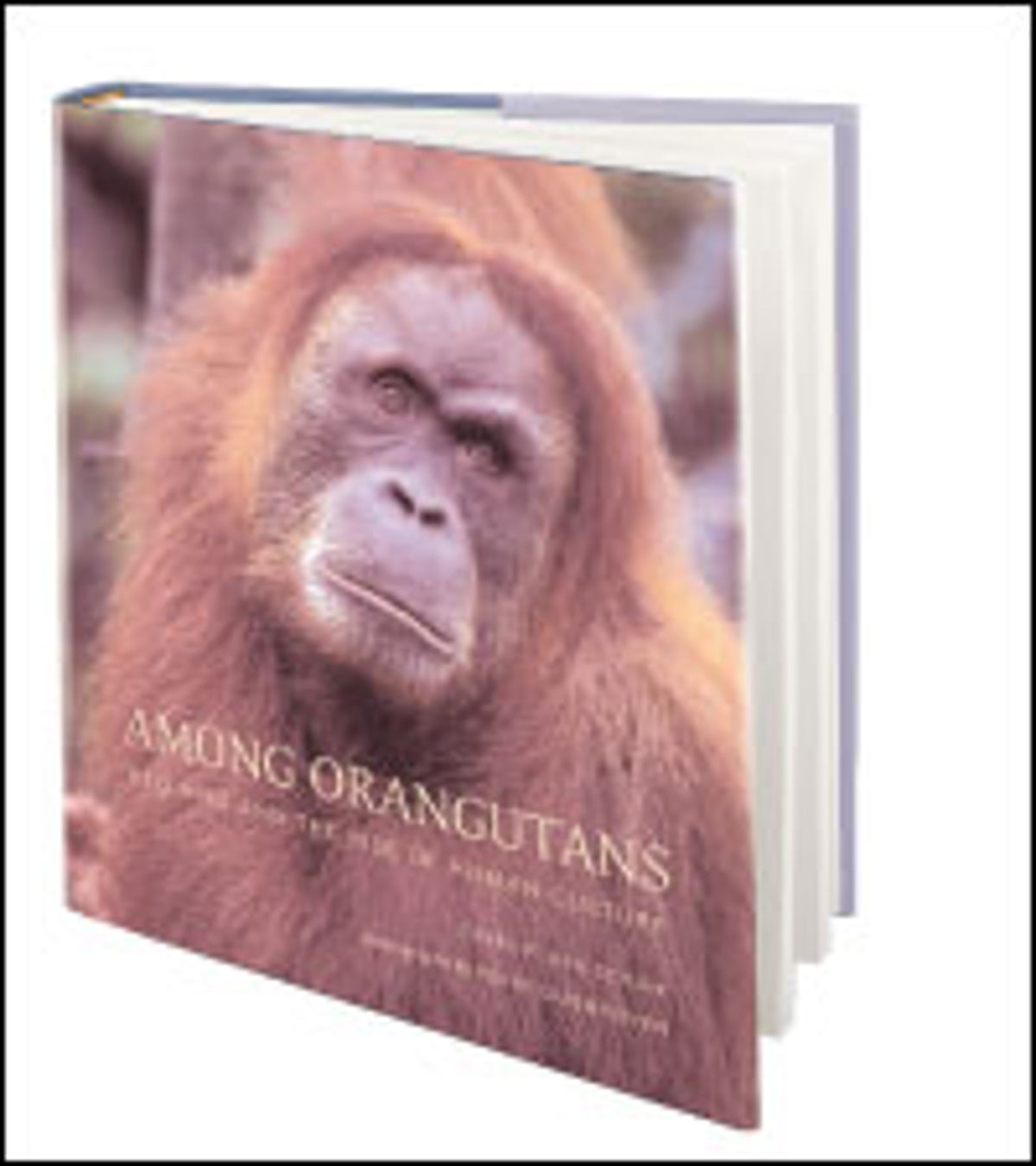 Orangutan Technology | Scientific American