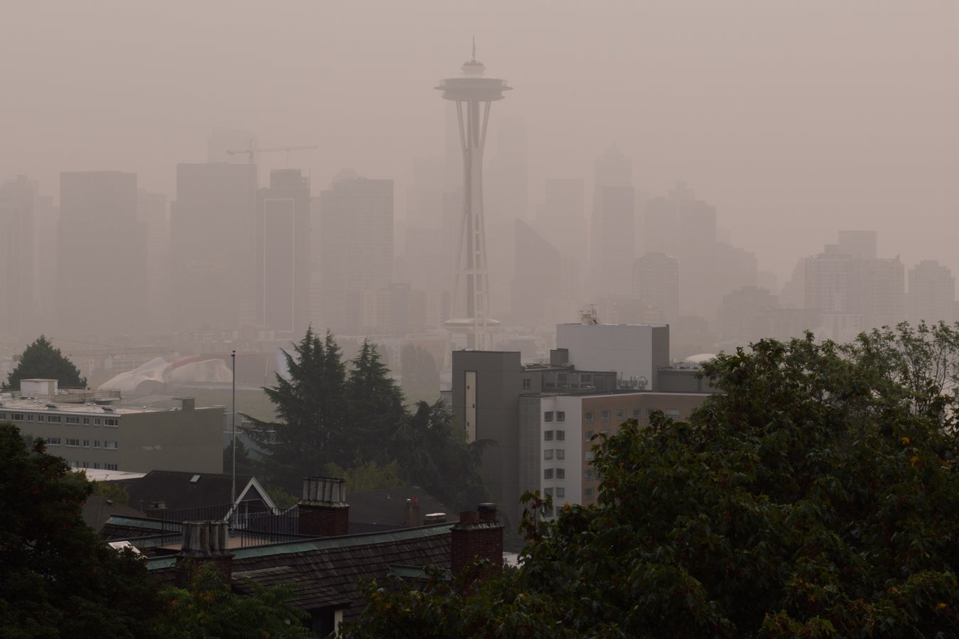 Western Wildfires Reverse U.S. Clean Air Gains | Scientific American