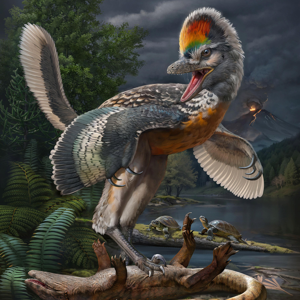 'Weird' Dinosaur Prompts Rethink of Bird Evolution | Scientific American