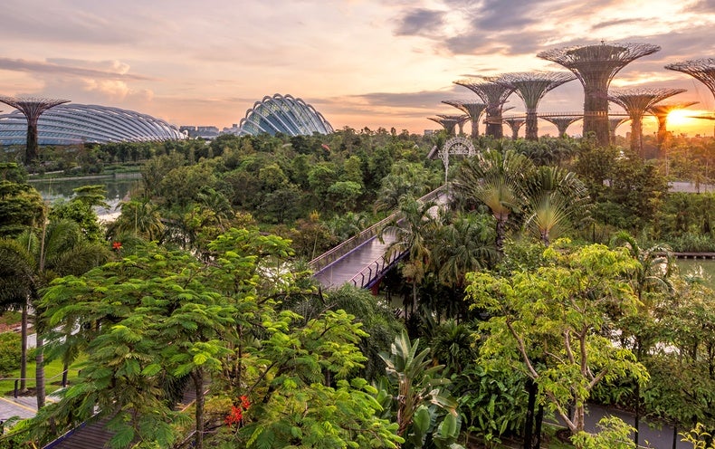 Science for Sustainable Cities - Scientific American