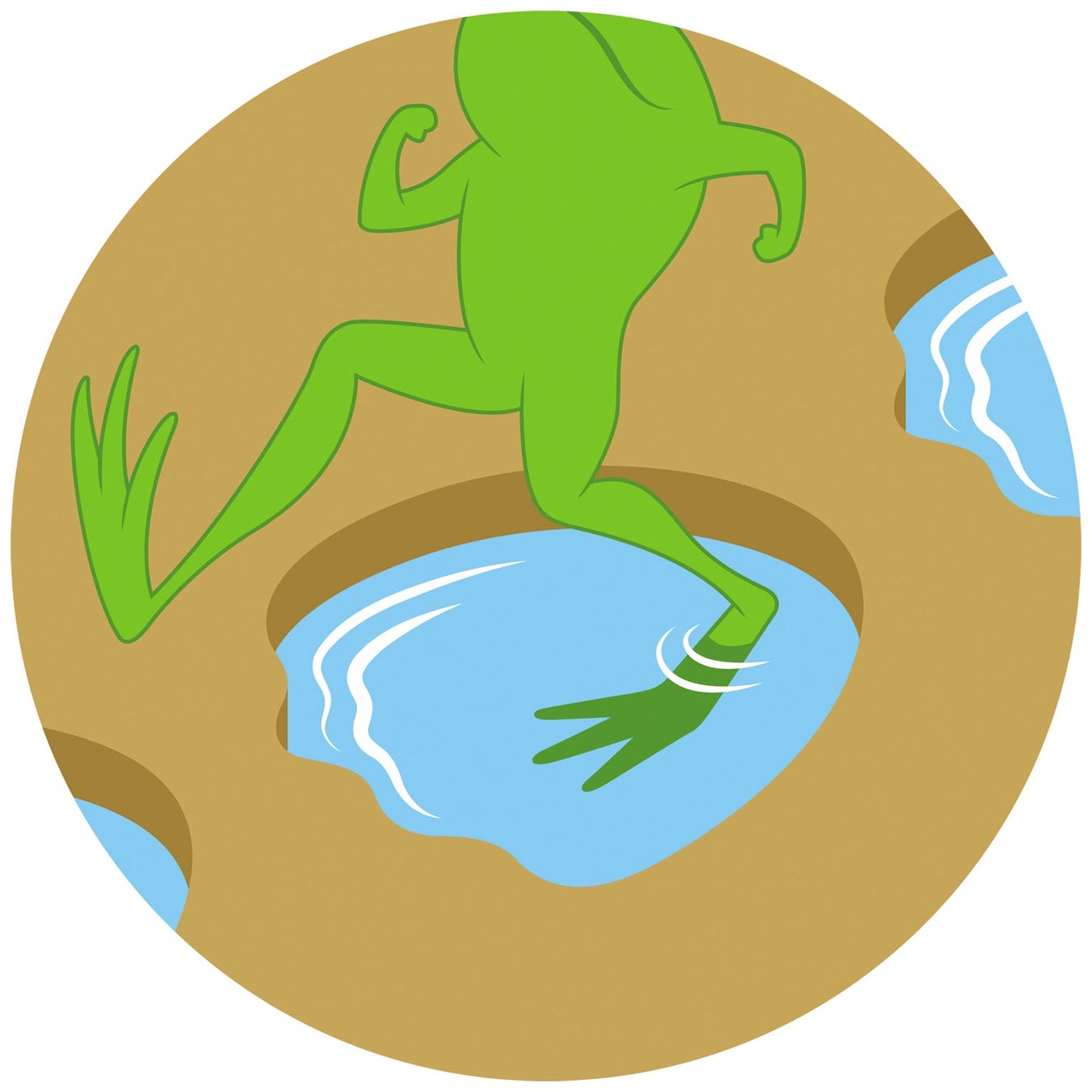 Frogs Make Their Homes in Elephant Footprints | Scientific American