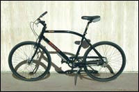 Easy Rider - Scientific American