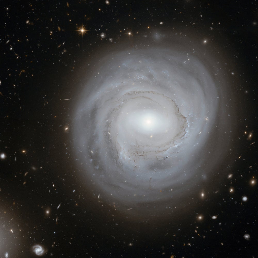 Through the looking galaxy | Scientific American