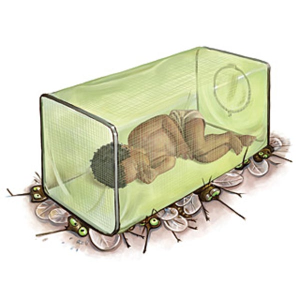A Better Mosquito Net | Scientific American