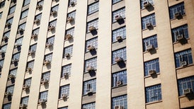 Stories by Dorit Aviv News and Research - Scientific American