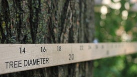 Stories by Aaron Reuben News and Research - Scientific American