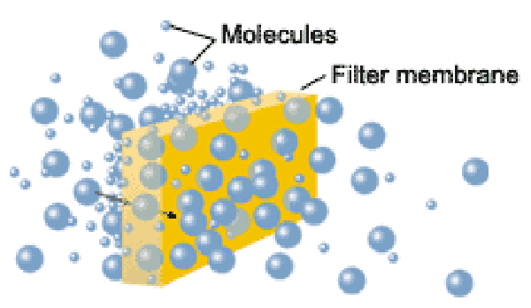 Filtering in Reverse | Scientific American