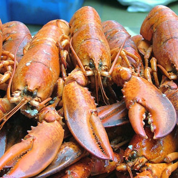 Some Food Additives Mimic Human Hormones - Scientific American