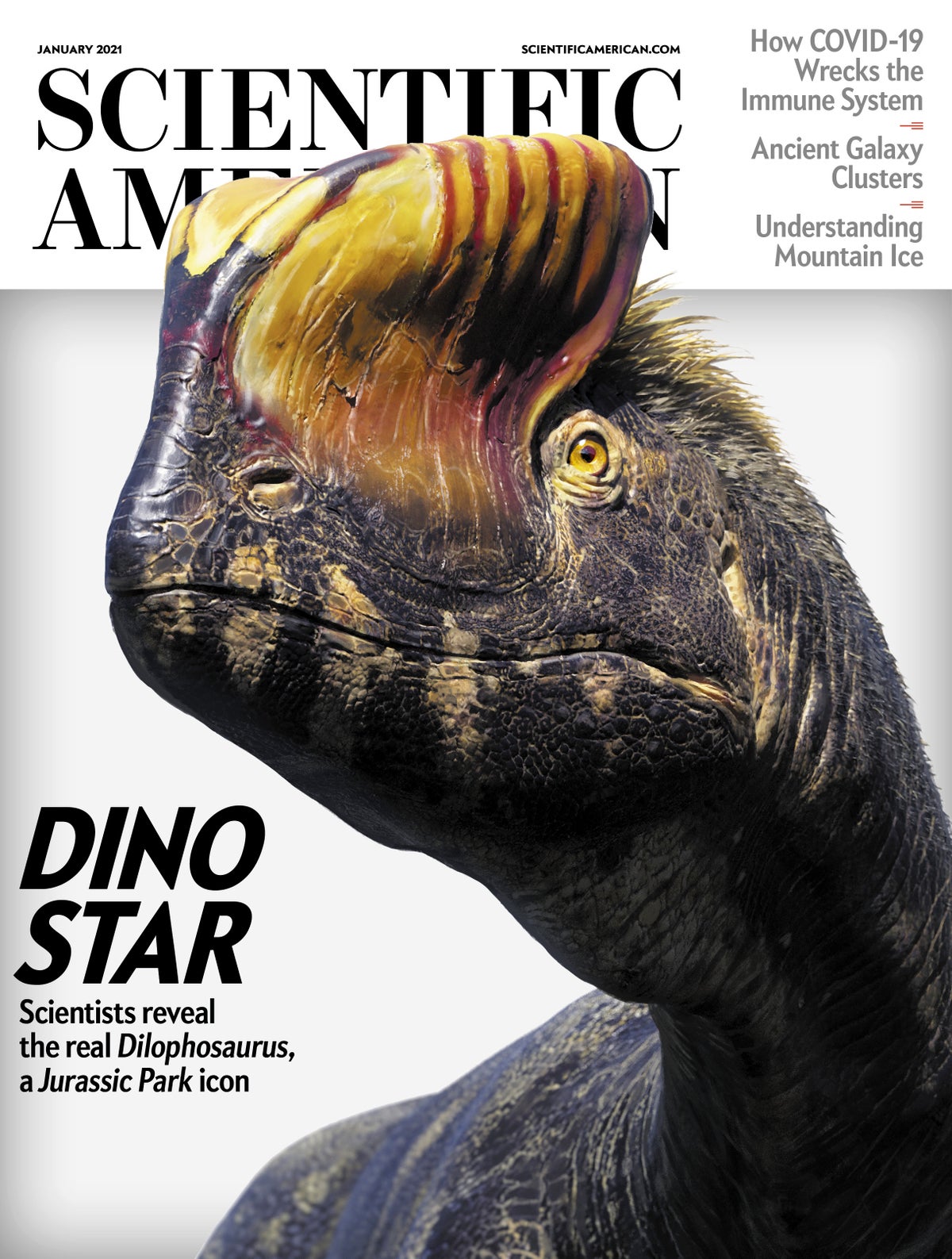 Scientific American Volume 324, Issue 1 | Scientific American