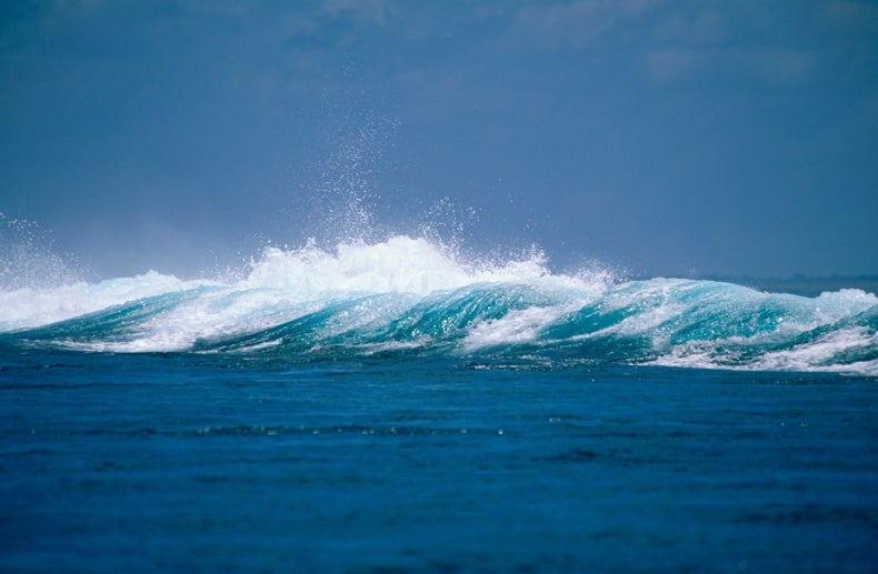 Massive Network of Robotic Ocean Probes Gets Smart Upgrade - Scientific ...