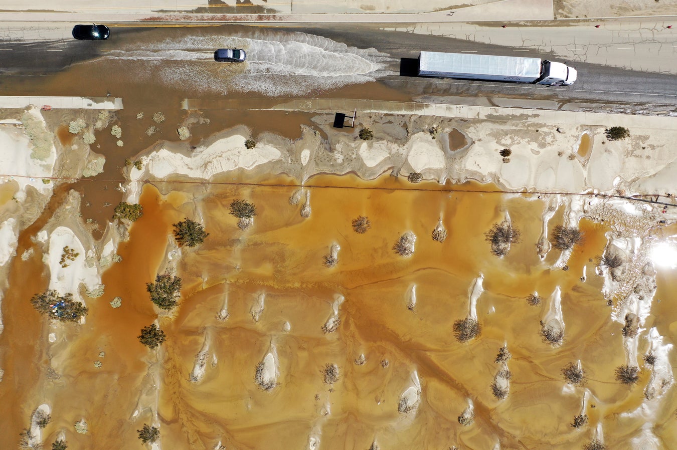 Earth's Latest 'Vital Signs' Show the Planet Is in Crisis | Scientific ...