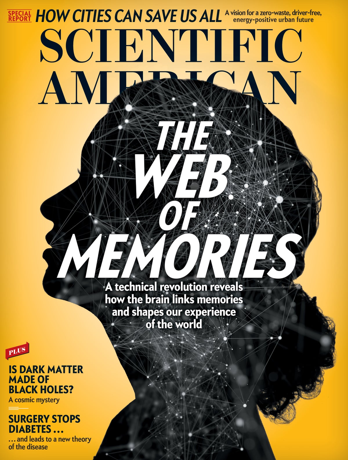 Scientific American Volume 317, Issue 1 | Scientific American