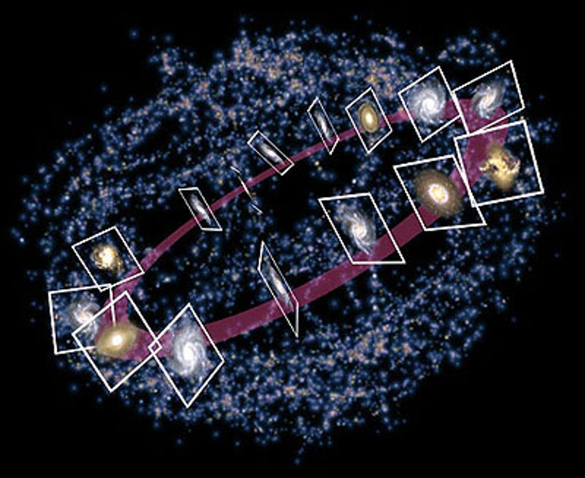 Cosmic Web | Scientific American