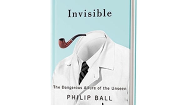 Book Review: Invisible - Scientific American