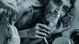 Stories by Maija S. Cheung News and Research - Scientific American