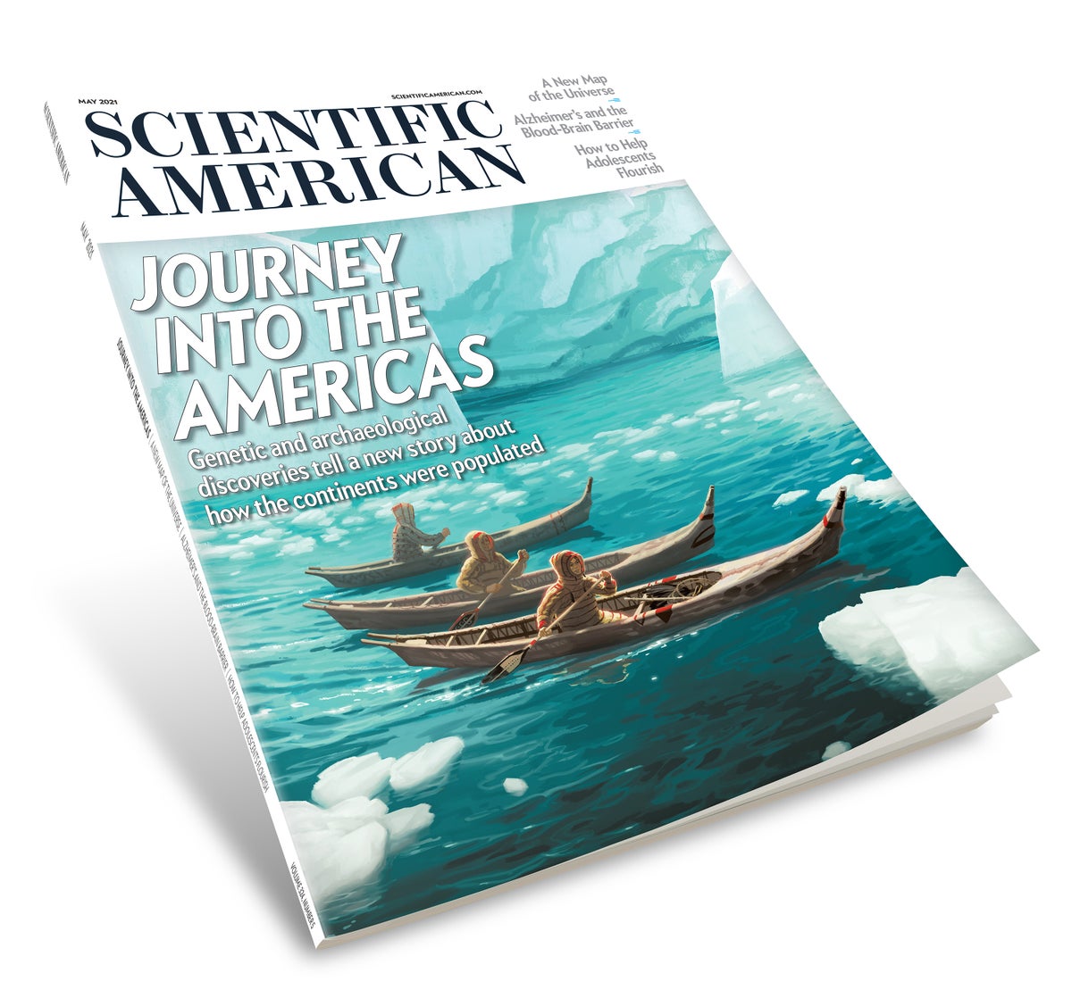 Dolphin Spins, Adolescent Brains and a Very Big Map | Scientific American