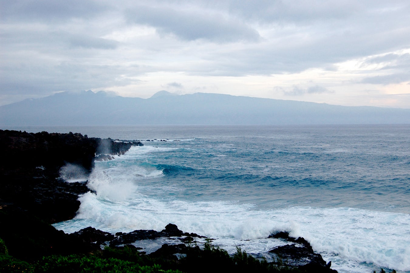 3-D Ocean Map Tracks Ecosystems in Unprecedented Detail | Scientific ...