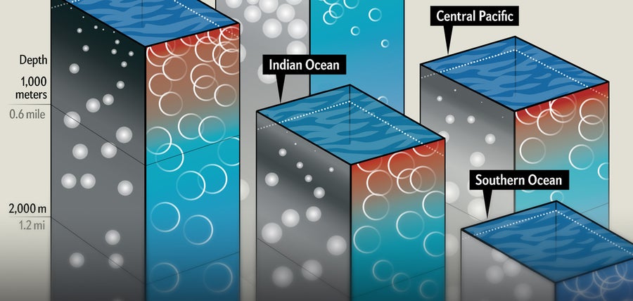 How the Ocean Sustains Complex Life | Scientific American