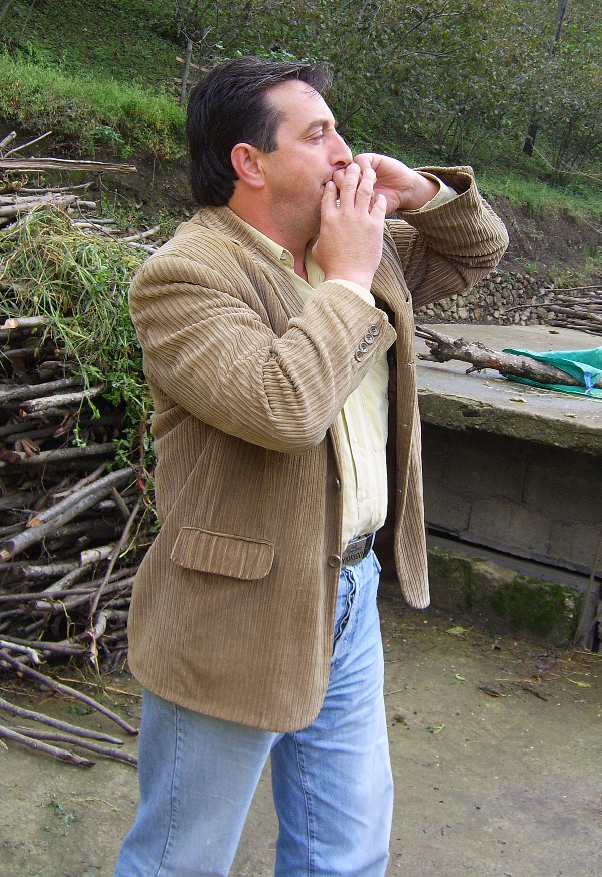 Whistled Language Forces Brain to Modify Usual Processing | Scientific ...