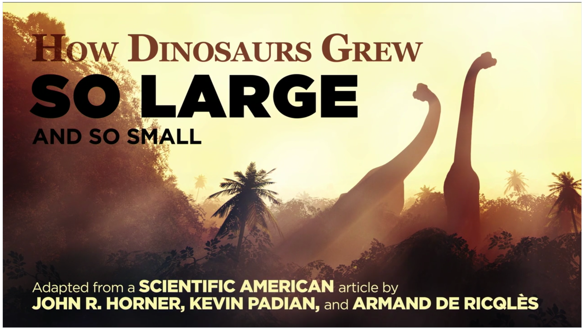 How Dinosaurs Grew So Large and So Small | Scientific American