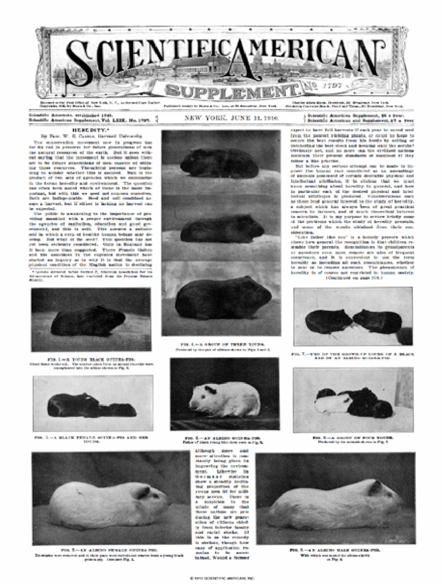The Liberation of Electrons during Chemical Reactions | Scientific American
