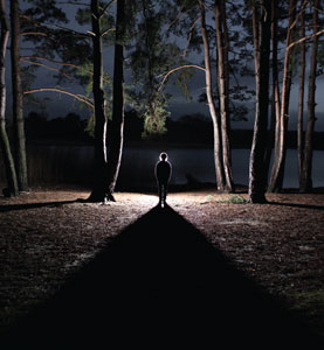 Are Sleepwalking Killers Conscious? | Scientific American