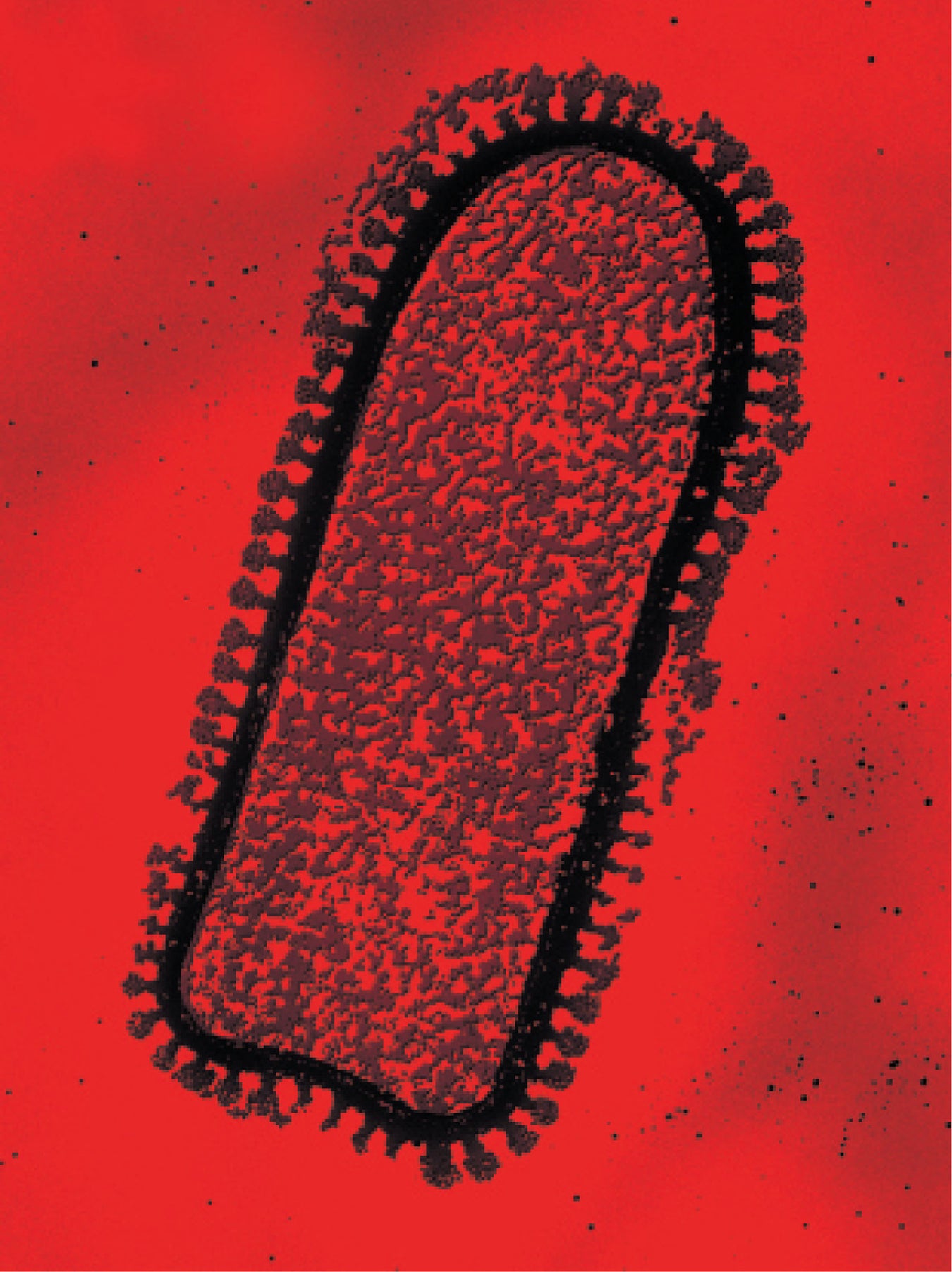 Neuroscientists Use Rabies to Explore the Brain | Scientific American