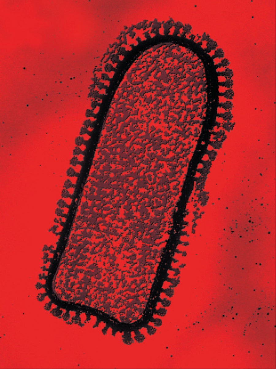 Neuroscientists Use Rabies to Explore the Brain | Scientific American